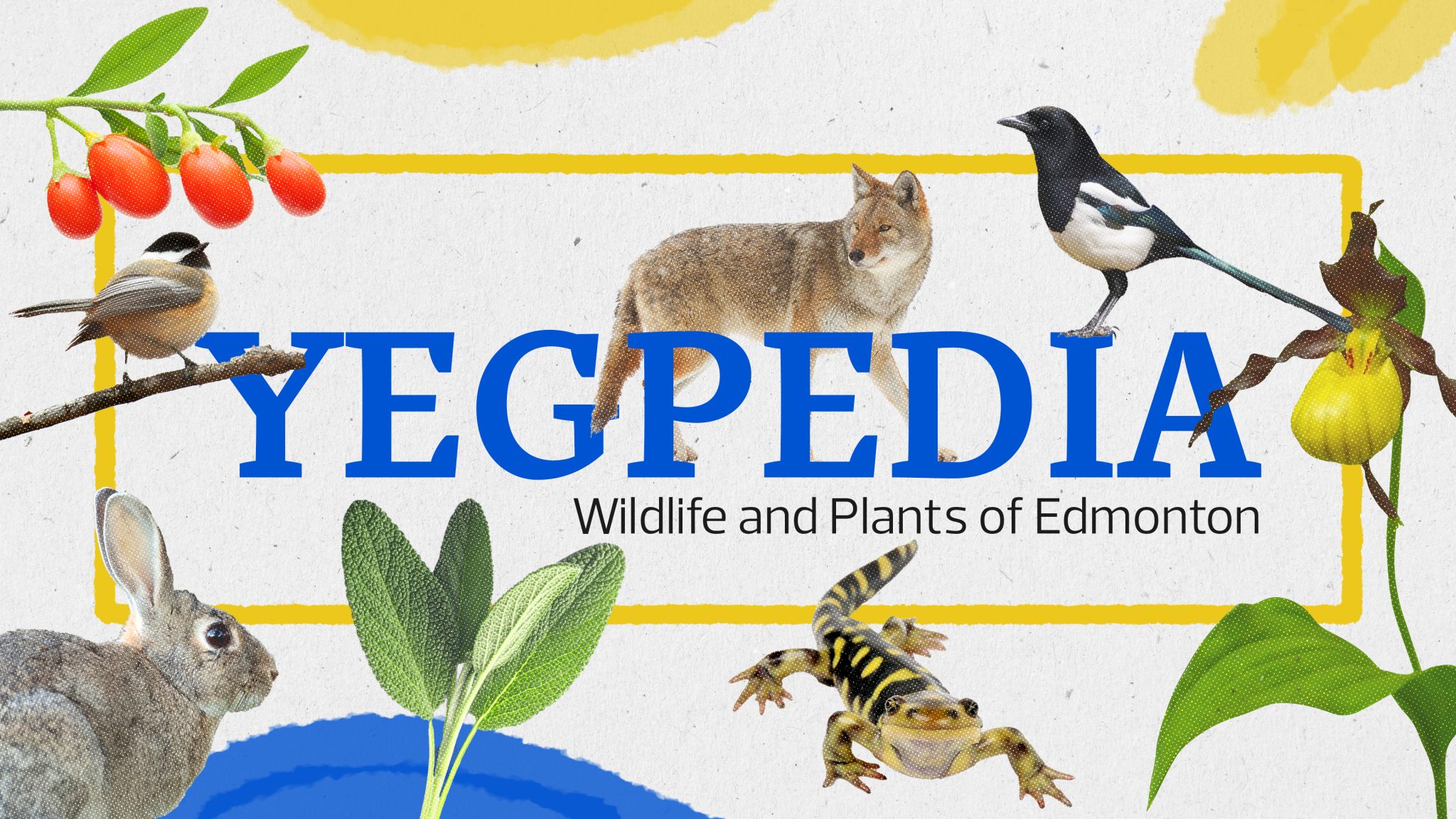 Why Edmonton | Live - Visit - Study - Thrive